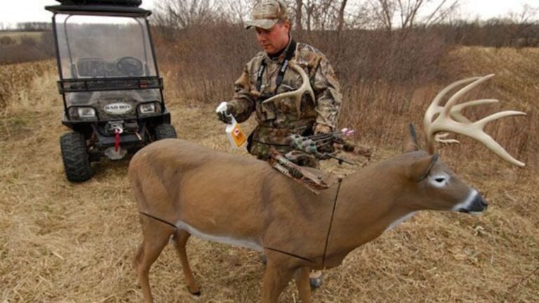 Popular Deer Hunting Methods For Beginners